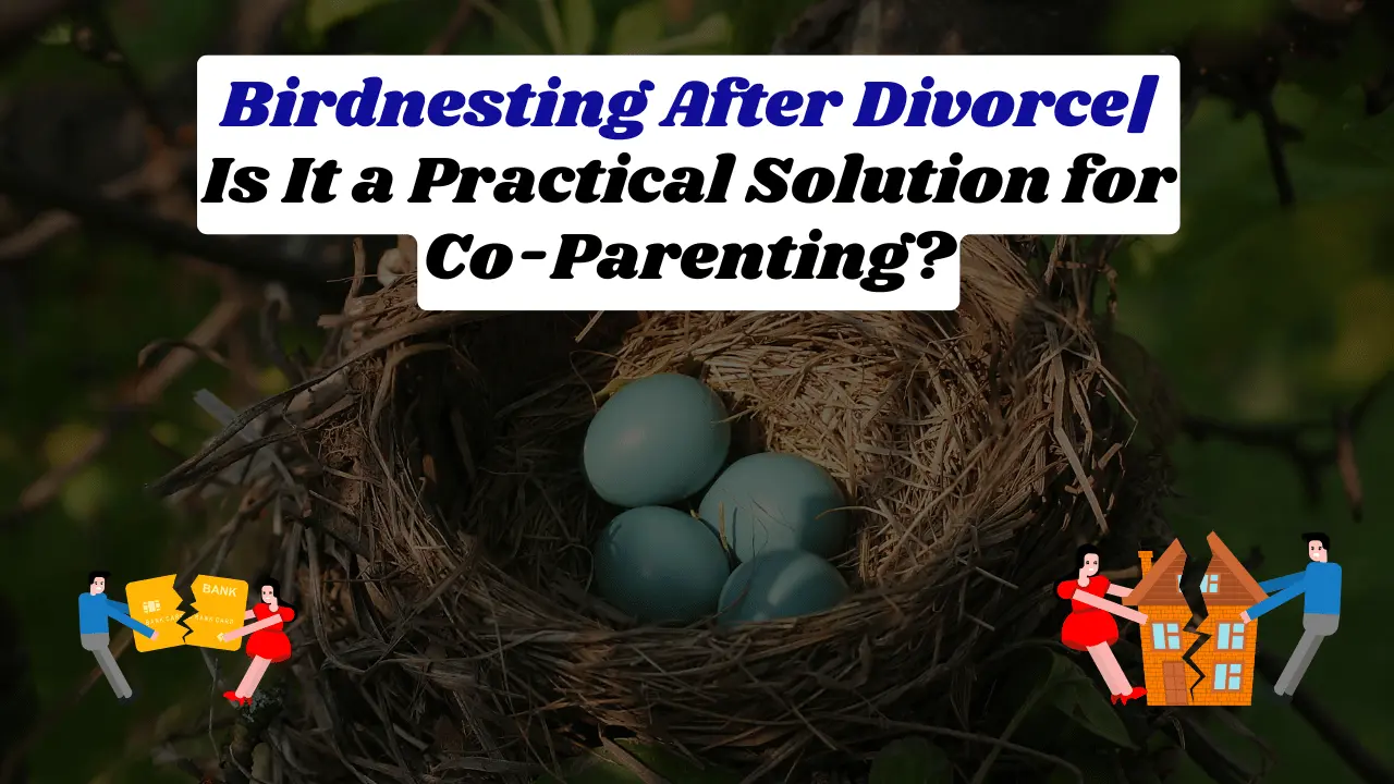 Birdnesting After Divorce Is It A Practical Solution For Co-Parenting?