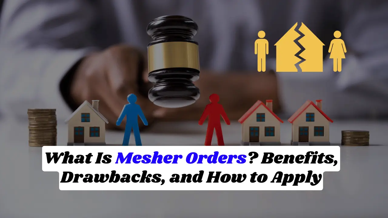 What Is Mesher Orders? Pros & Cons And How To Apply?
