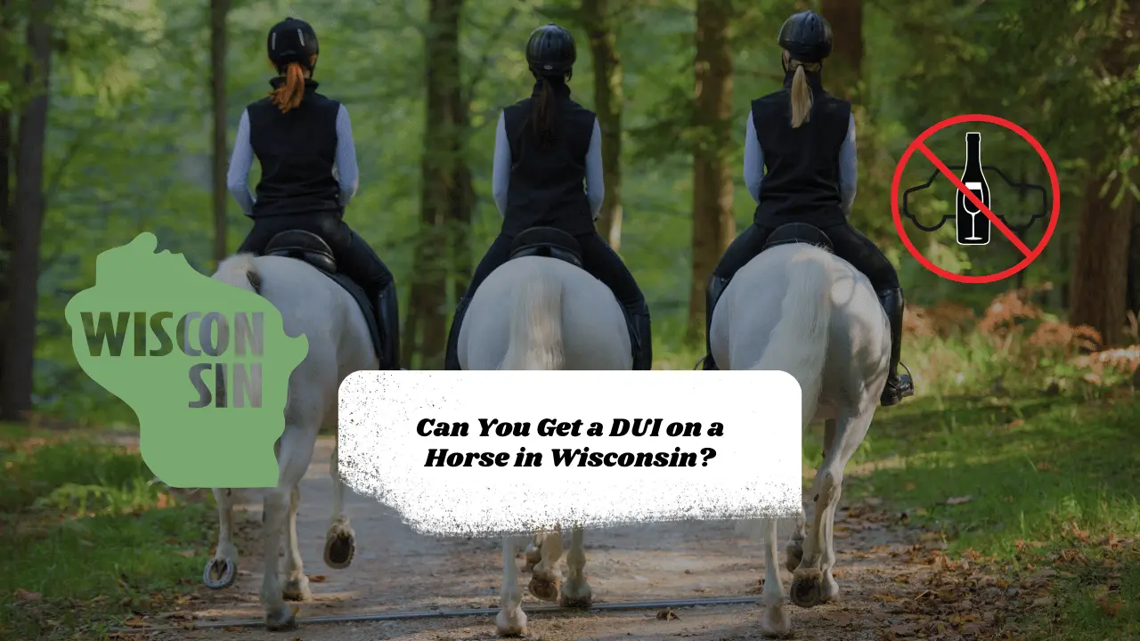 Can You Get A DUI On A Horse In Wisconsin?