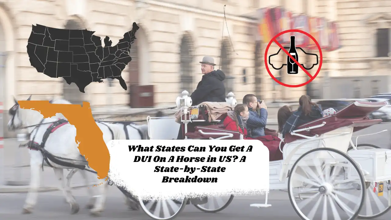 What States Can You Get A DUI On A Horse In US? State-by-State Breakdown