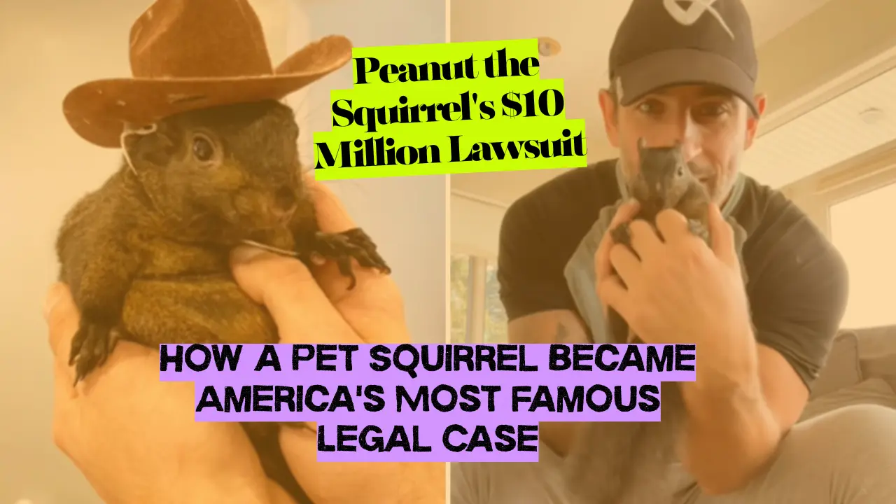Peanut The Squirrel's $10 Million Lawsuit Against NY State