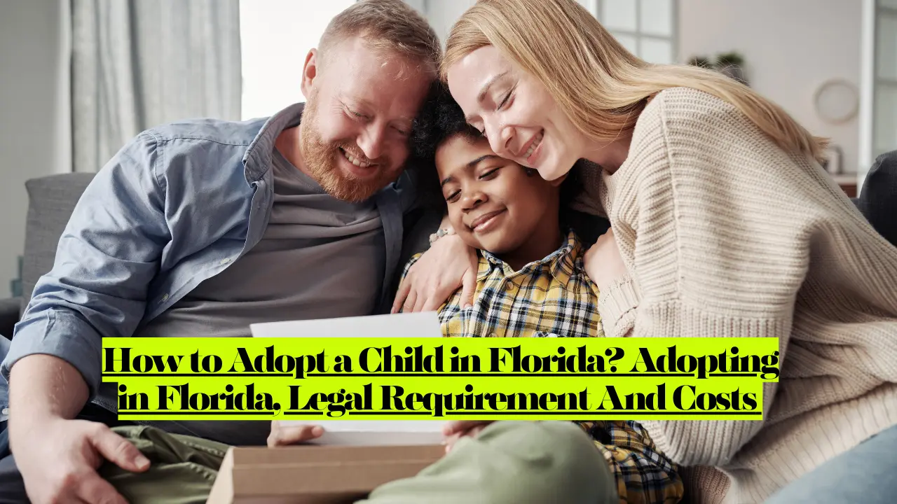 How To Adopt A Child In Florida? Adopting In Florida, Requirement And Costs