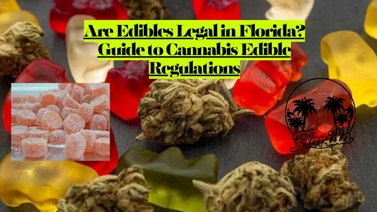 Are Edibles Legal In Florida? Cannabis Edible Regulations
