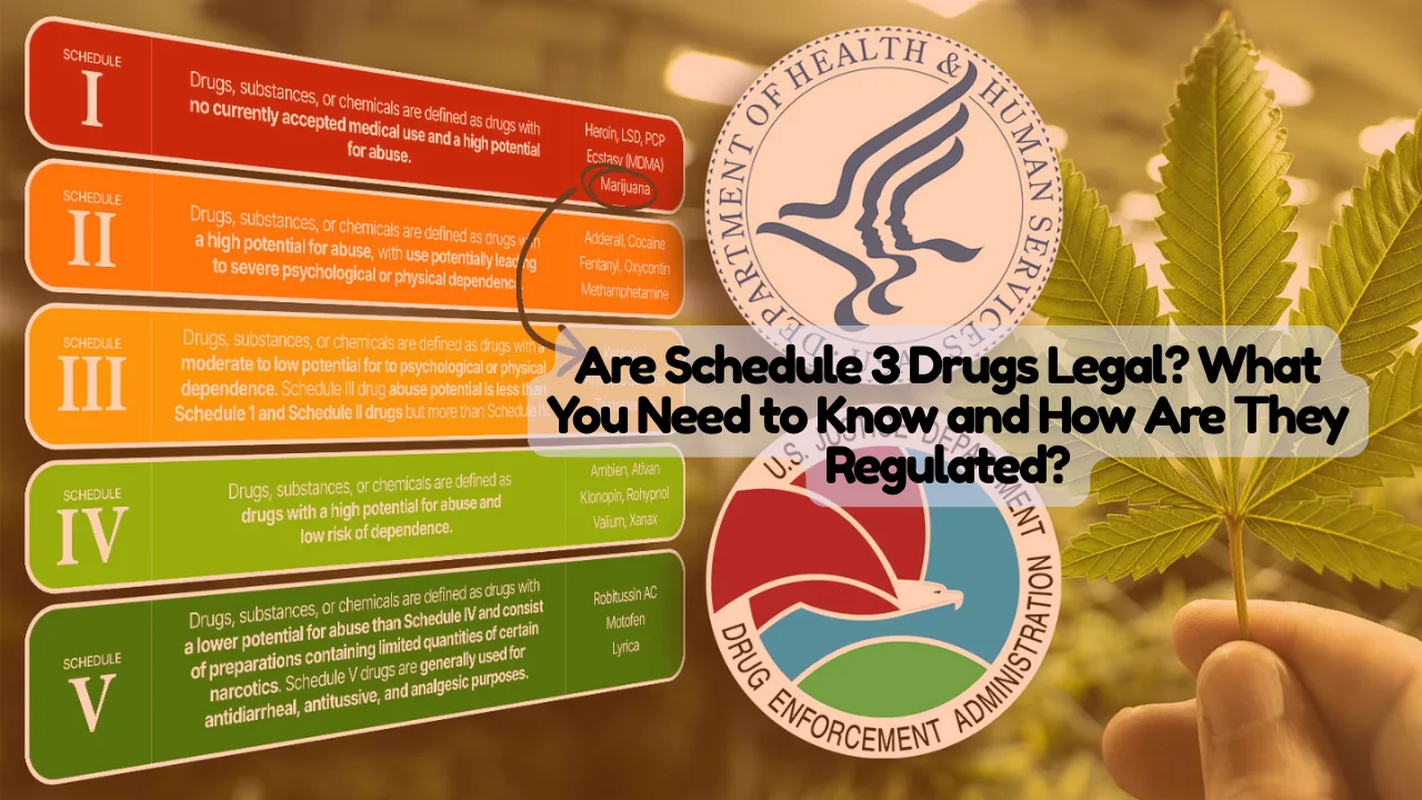Are Schedule 3 Drugs Legal? What You Need To Know And How Are They ...