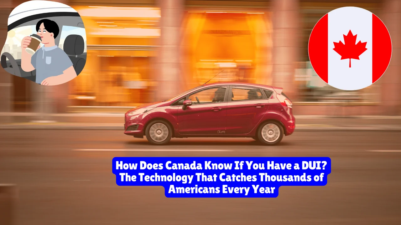 How Does Canada Know If You Have A DUI? The Technology That Catches ...