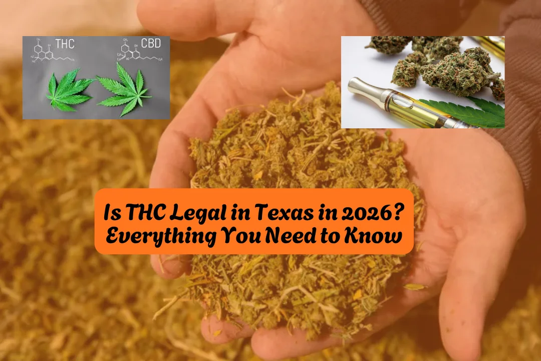 Is THC Legal In Texas? 2026 Laws, Penalties & Changes